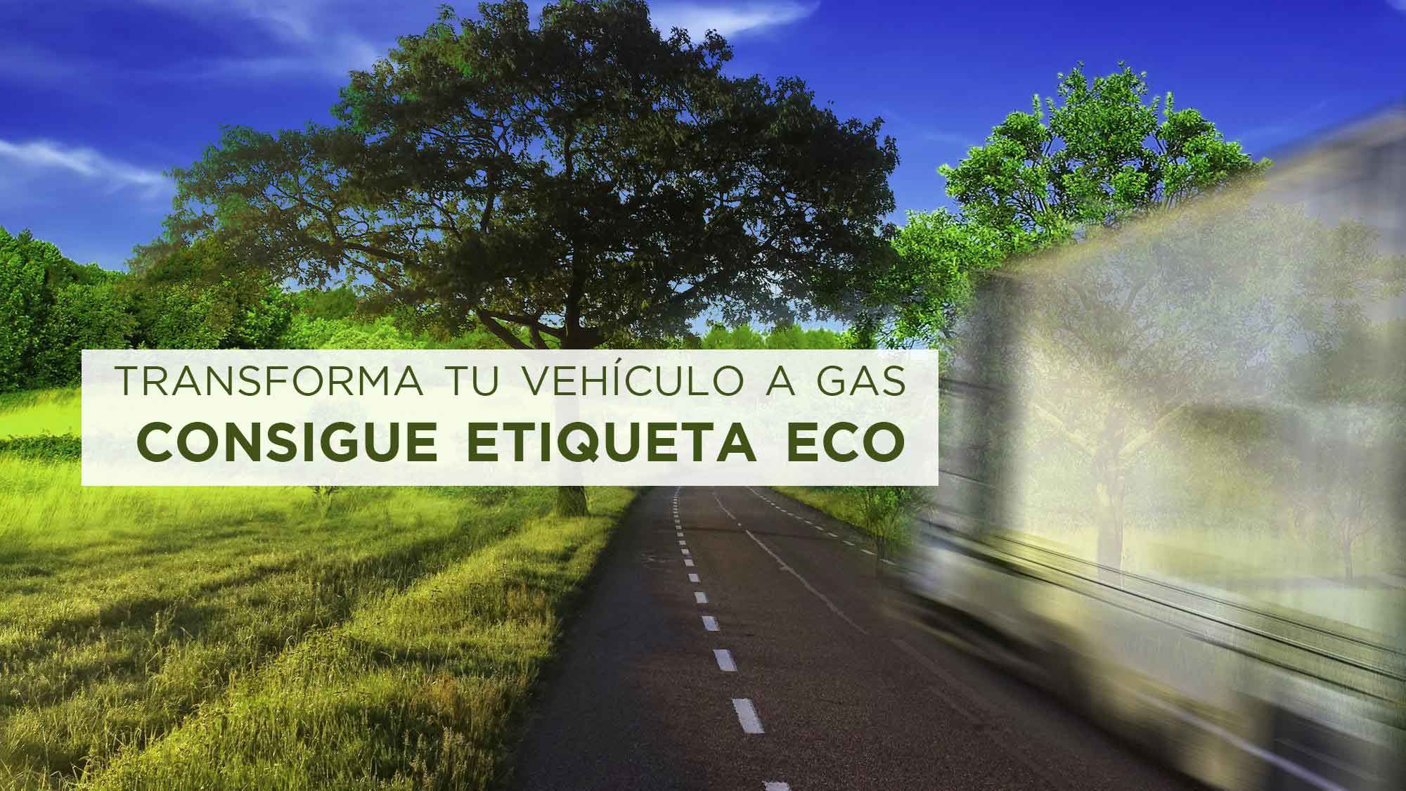 Ecotruck Transformación de vehículos a gas (GLP y gas natural)